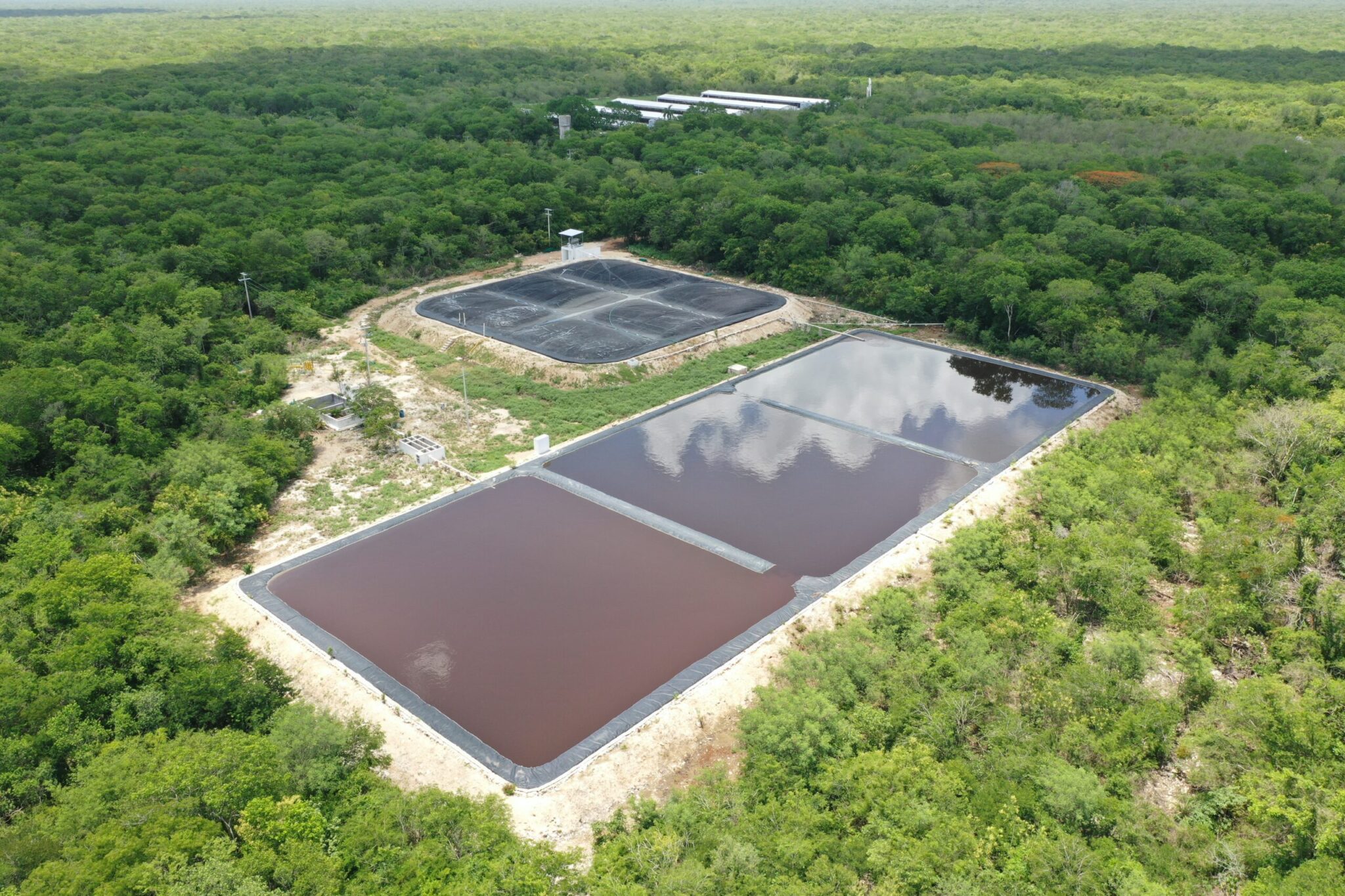 Pueblos mayas denuncian a porcícolas por desastre ambiental